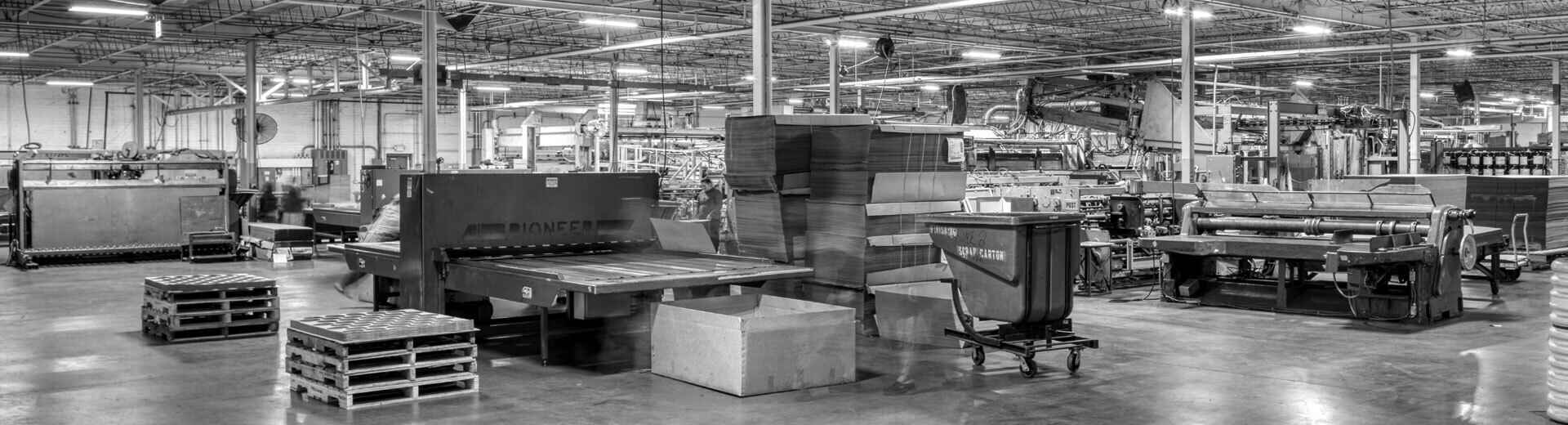 Experts in packaging design customization in VA, NC, SC, GA